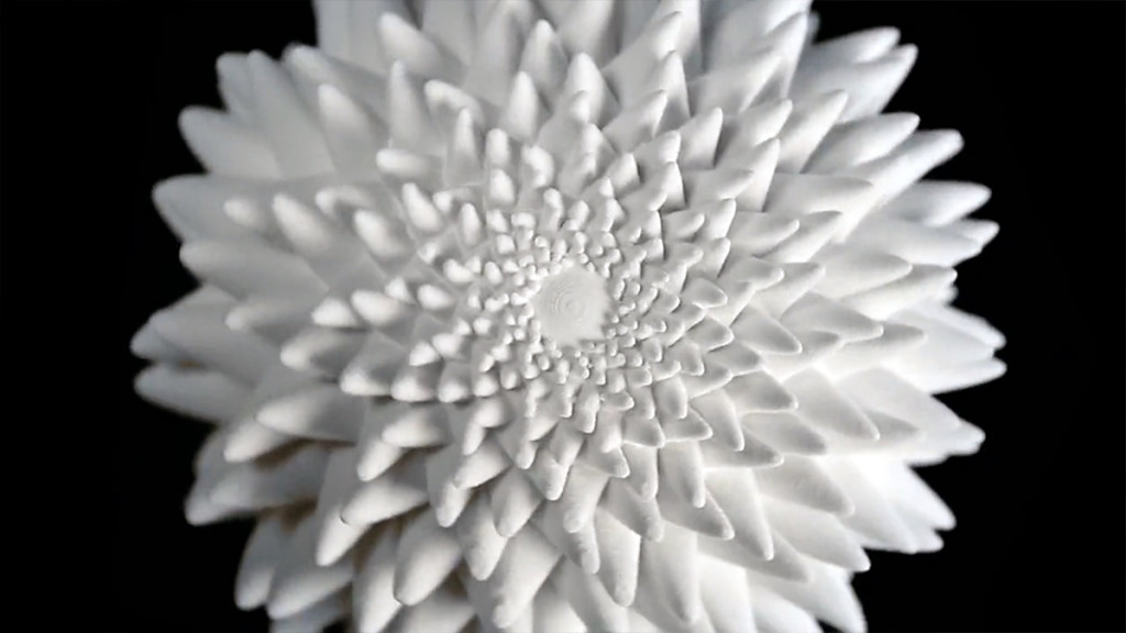 Blooms: 3D sculptures comes to life